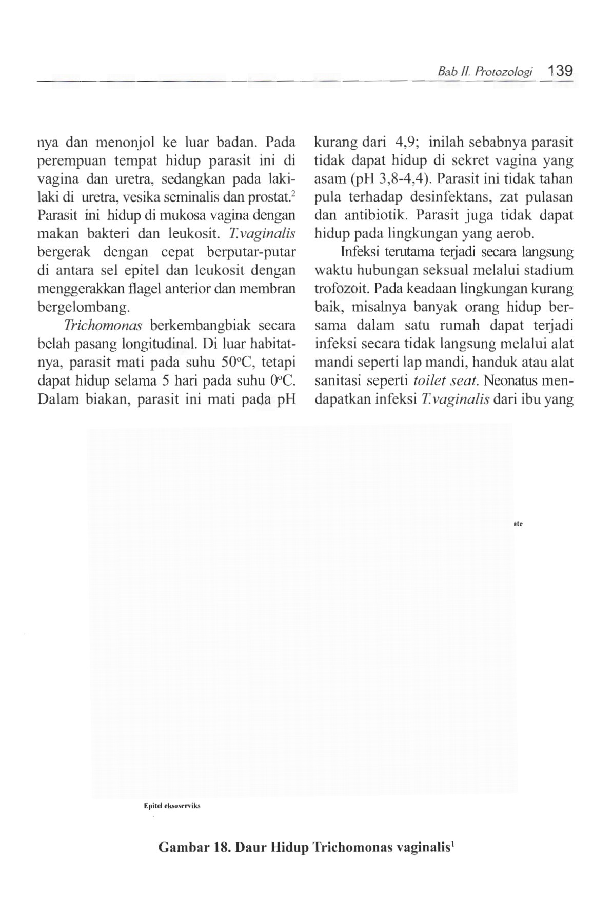 Bab II. Protozologi - haryahutamas - Halaman 39 | PDF Online | PubHTML5