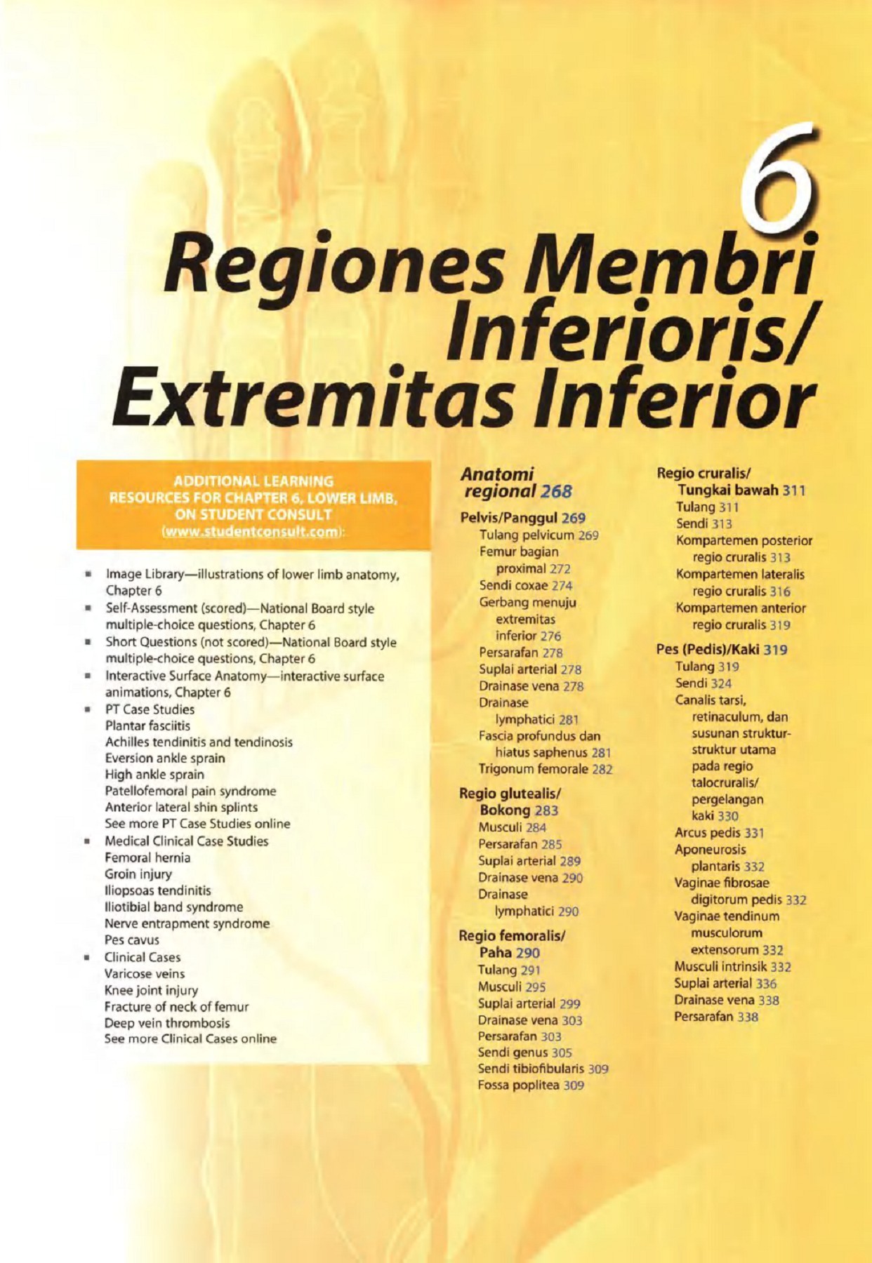 Bab 6 Regiones Membri Inferioris-Extremitas Inferior - haryahutamas ...