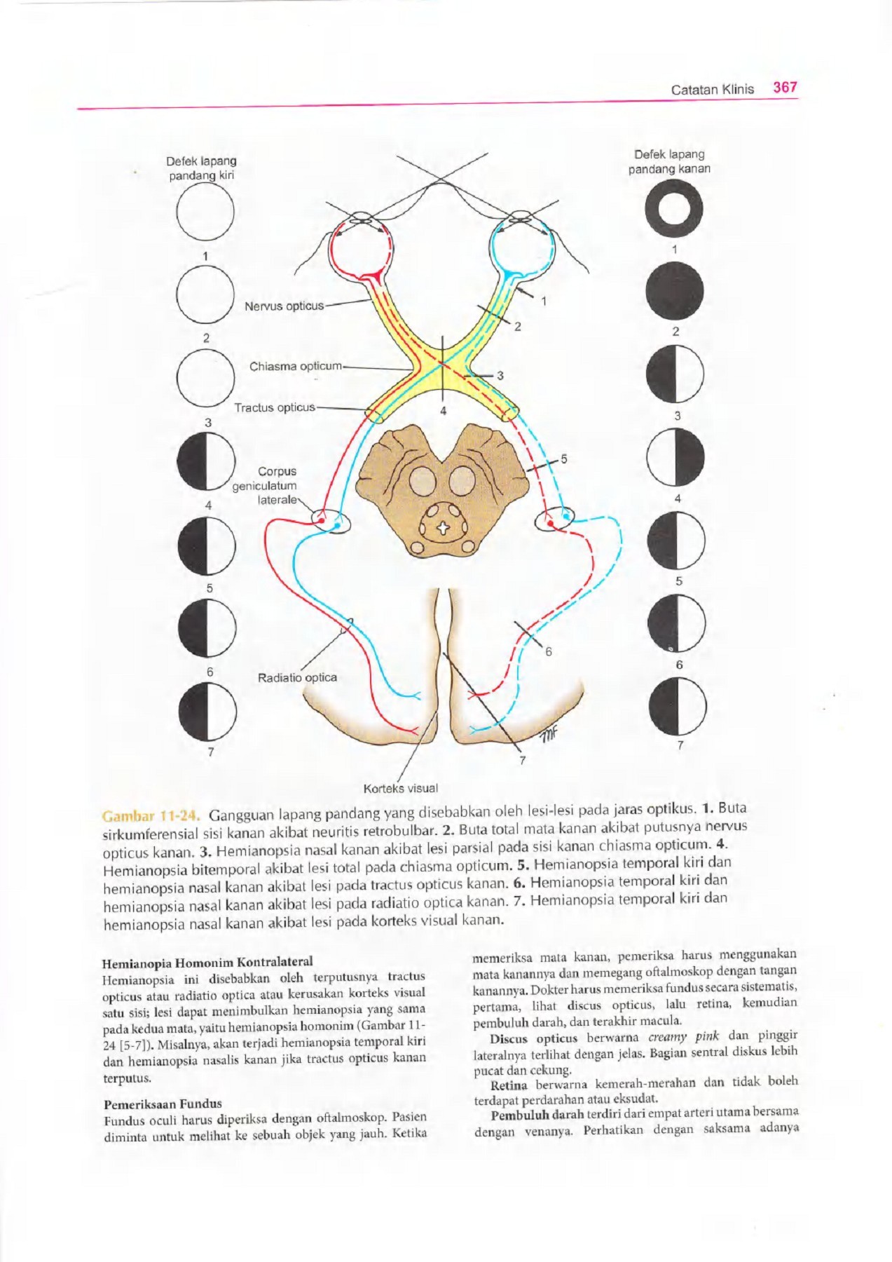 Bab 11. Nuclei Craniales Serta Hubungan-Hubungan Sentral dan ...