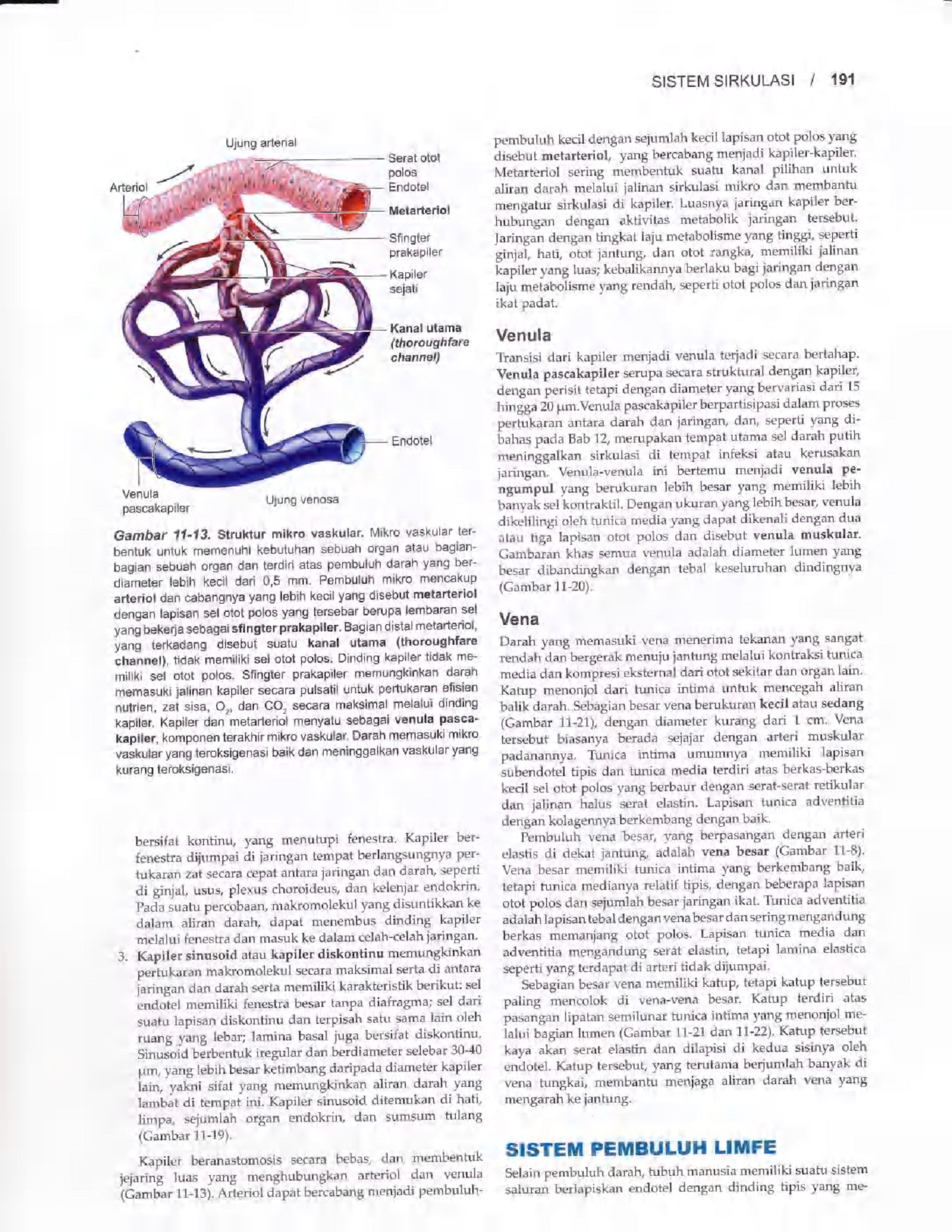Bab 11. Sistem Sirkulasi - haryahutamas - Halaman 11 | PDF Online ...