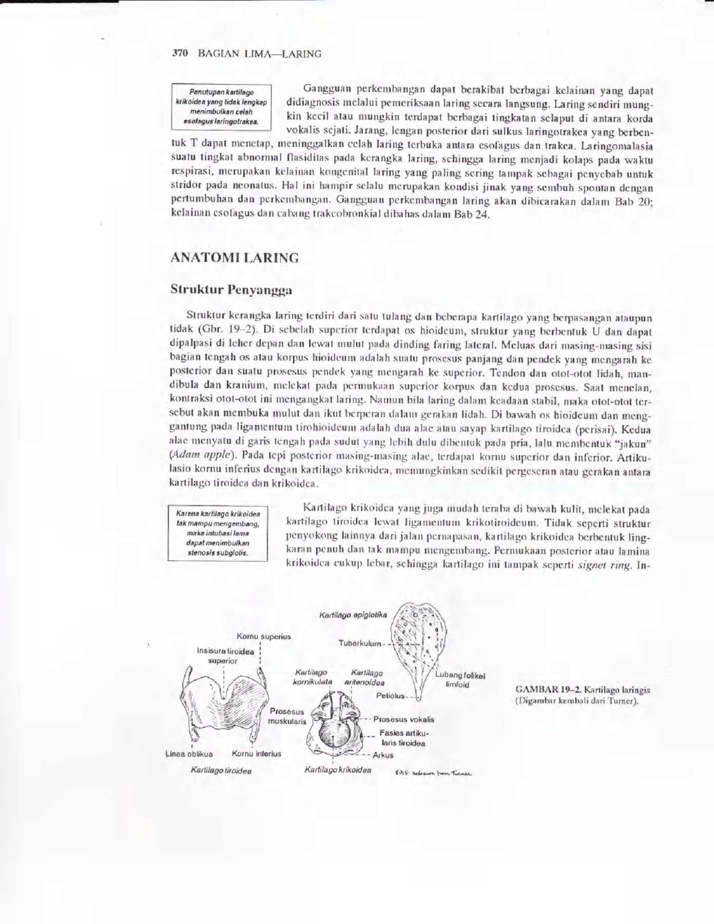 19. ANATOMI DAN FISIOLOGI LARING - haryahutamas - Halaman 2 | PDF ...