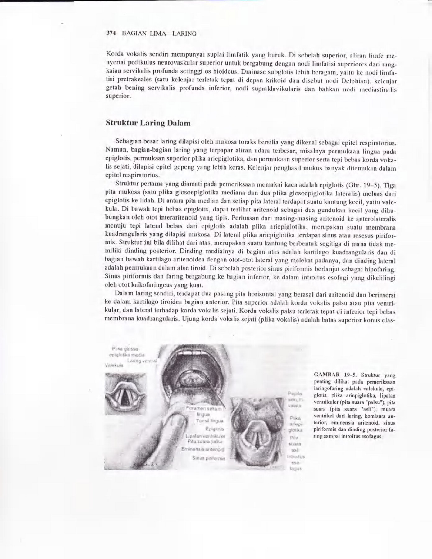 19. ANATOMI DAN FISIOLOGI LARING - haryahutamas - Halaman 6 | PDF ...