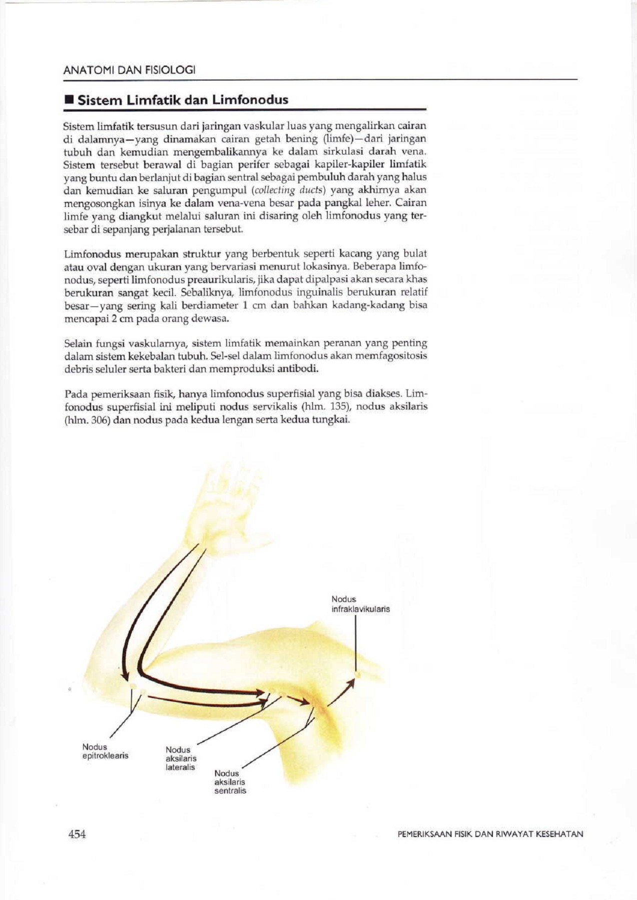 Bab 14. Sistem Vaskular Perifer - haryahutamas - Halaman 4 | PDF Online ...