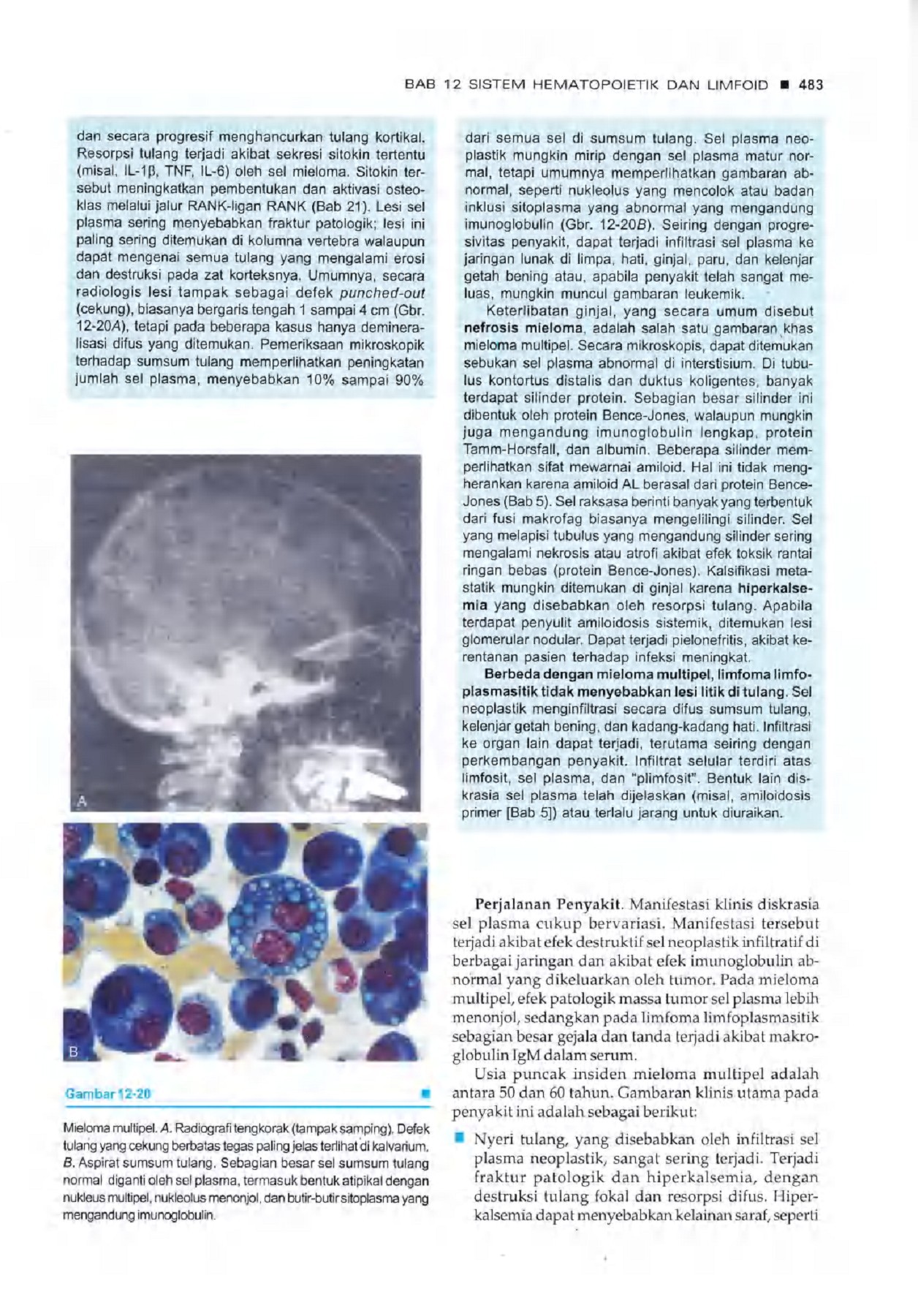 12. Sistem Hematopoietik dan Limfoid - haryahutamas - Halaman 41 | PDF ...