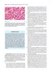 12. Sistem Hematopoietik dan Limfoid - haryahutamas - Halaman 38 | PDF ...
