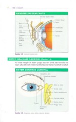 Bab 1. Anatomi - haryahutamas - Halaman 4 | PDF Online | PubHTML5