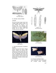 kelas10_teknik-pembibitan-tanaman_paristiyanti - haryahutamas - Halaman ...