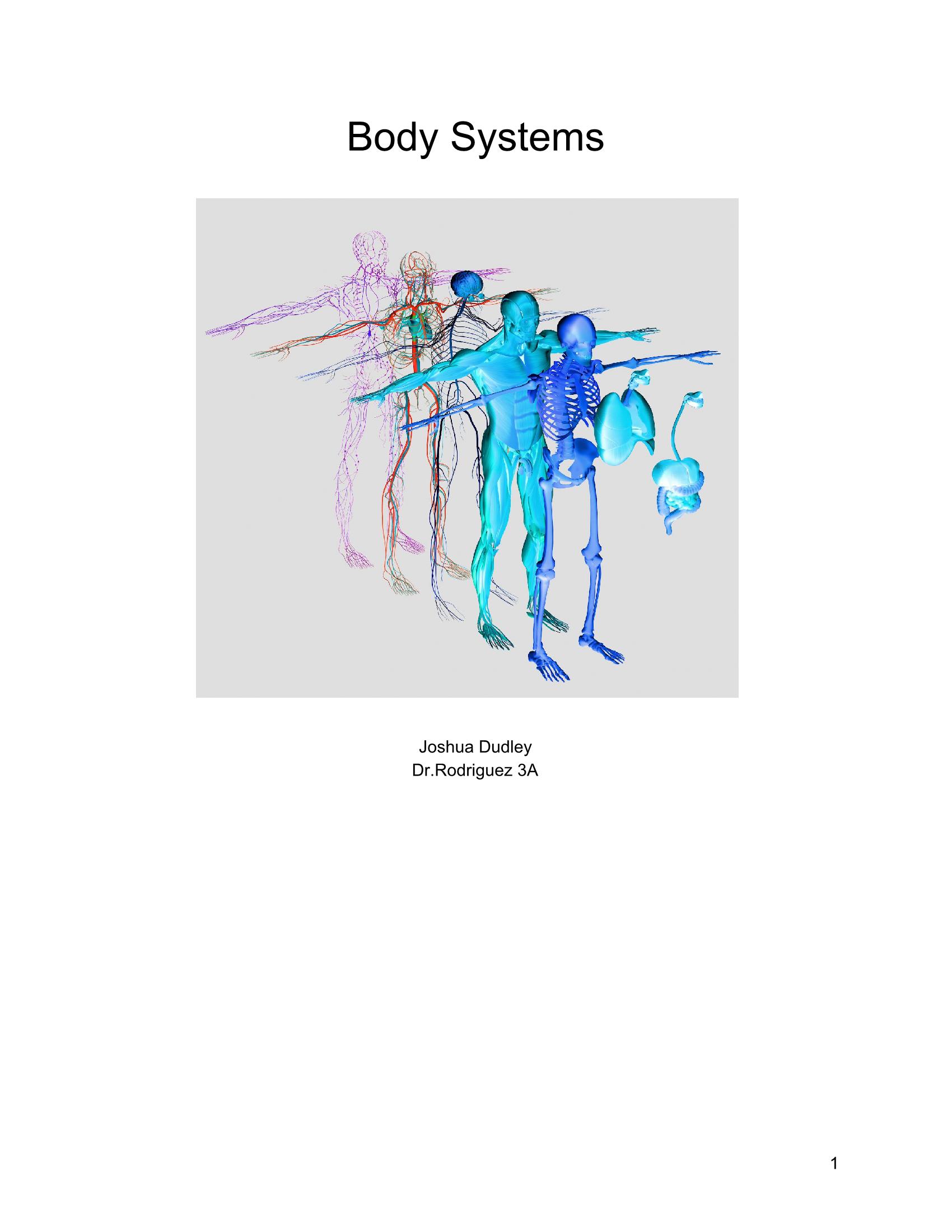Body Systems - Urinary system - Joshua Dudley - Page 1 | Flip PDF ...
