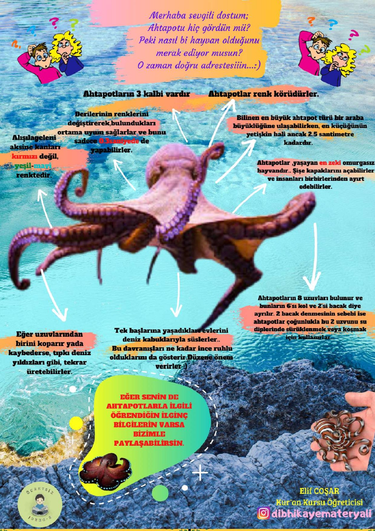 MÜMEYYİZ ÇOCUK DERGİSİ 1.SAYI - yildirtany - Sayfa 49 | Çevrimiçi PDF ...