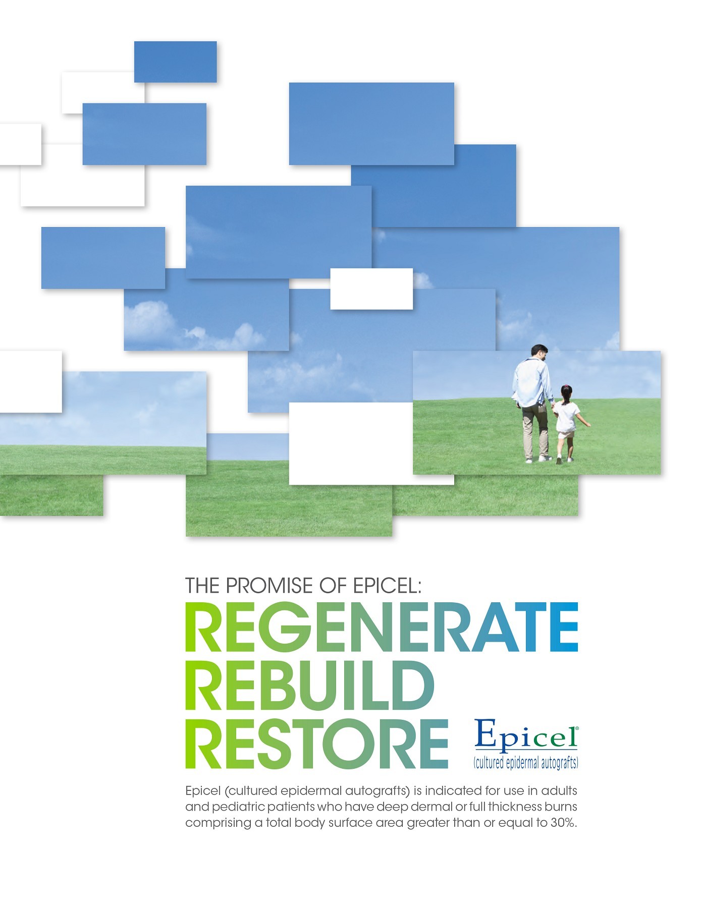 Epicel DetailAid8pg - mmckinney - Page 1 - 8 | Flip PDF Online | PubHTML5