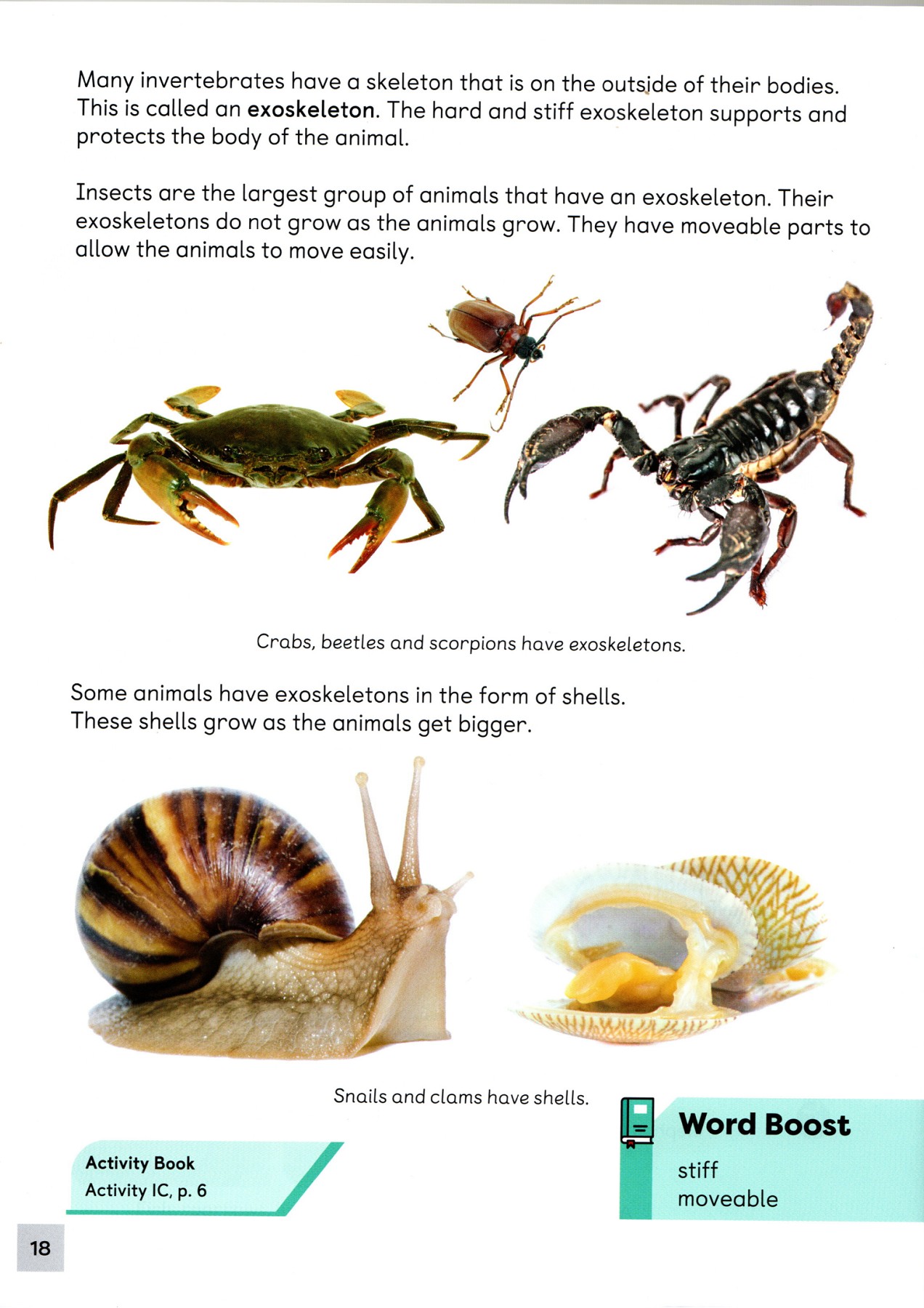 Science - Grade 4 - Unit 1 - Wisdiyan Hadi Hastomo - Page 16 | Flip PDF ...