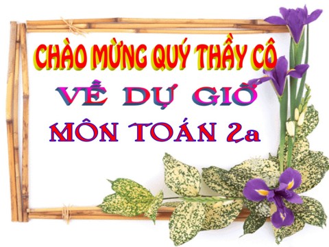 Luyện tập - Tuần 8