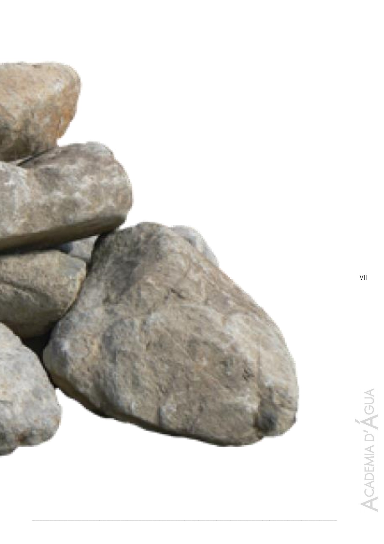 PFM_01 - paulocardoso - Página 7 | PDF Online | PubHTML5