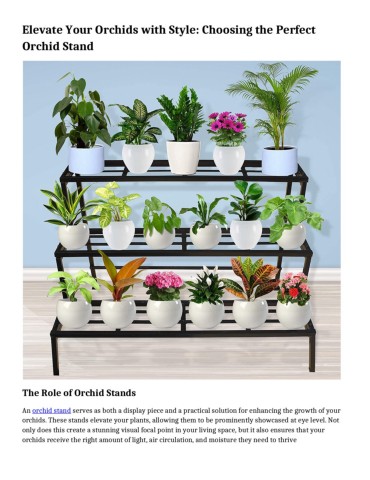 Elevate Your Orchids with Style: Choosing the Perfect Orchid Stand