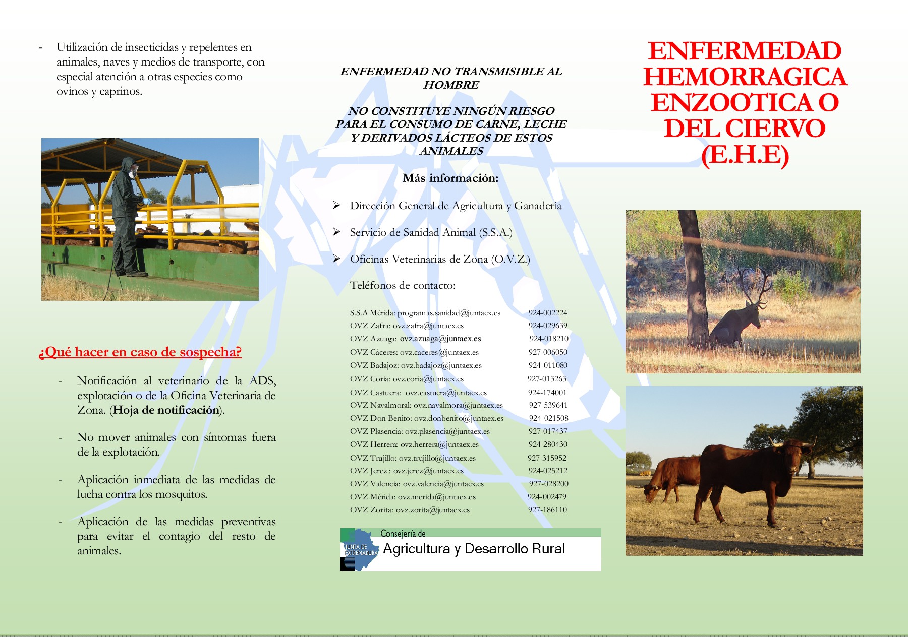 Borrador Triptico E.H.E - angel garcía escobero - Page 1 - 2 | Flip PDF Online | PubHTML5