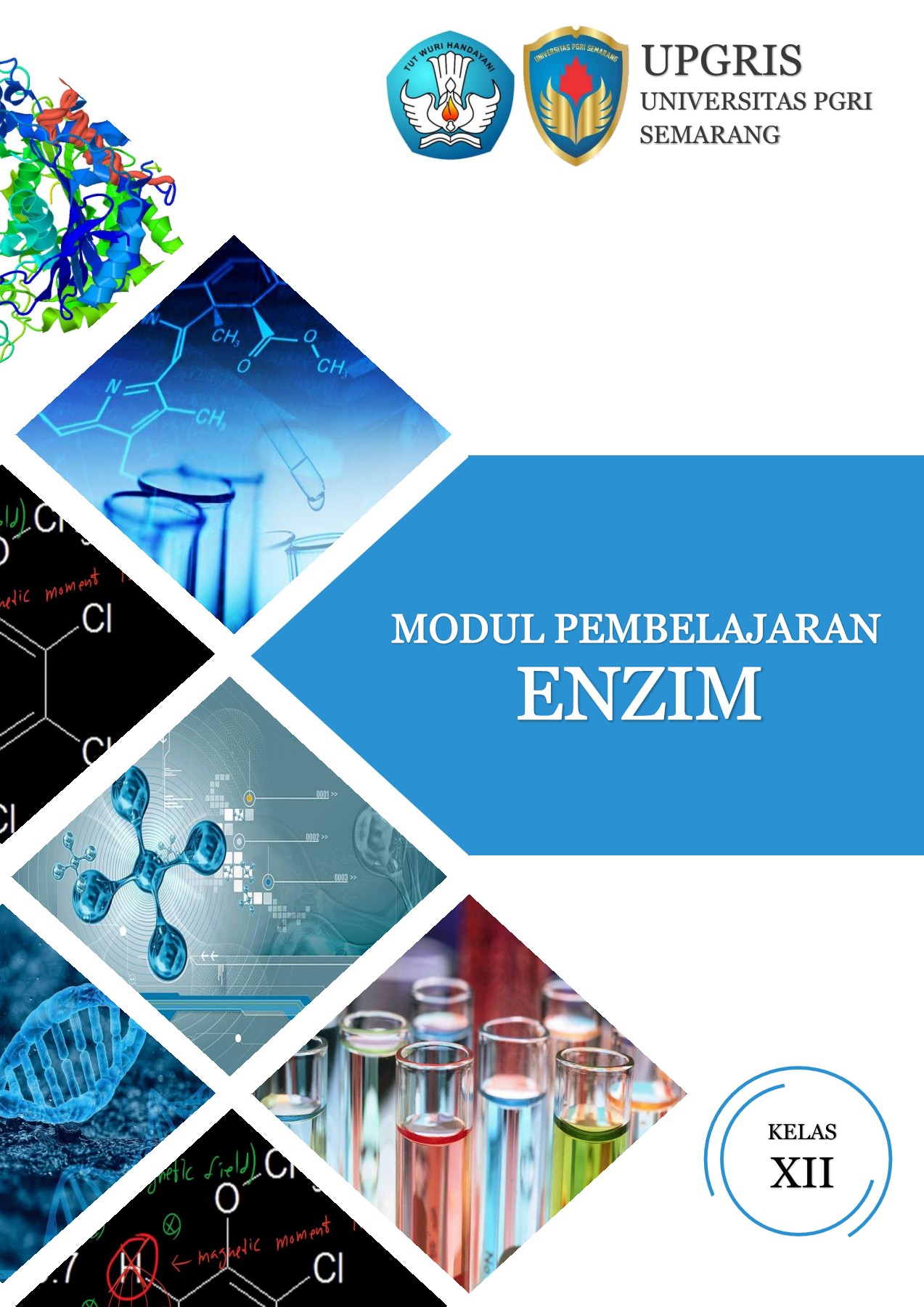 revisi_MODUL ENZIM - anisa rahma - Kaca 1 - 25 | PDF Online | PubHTML5