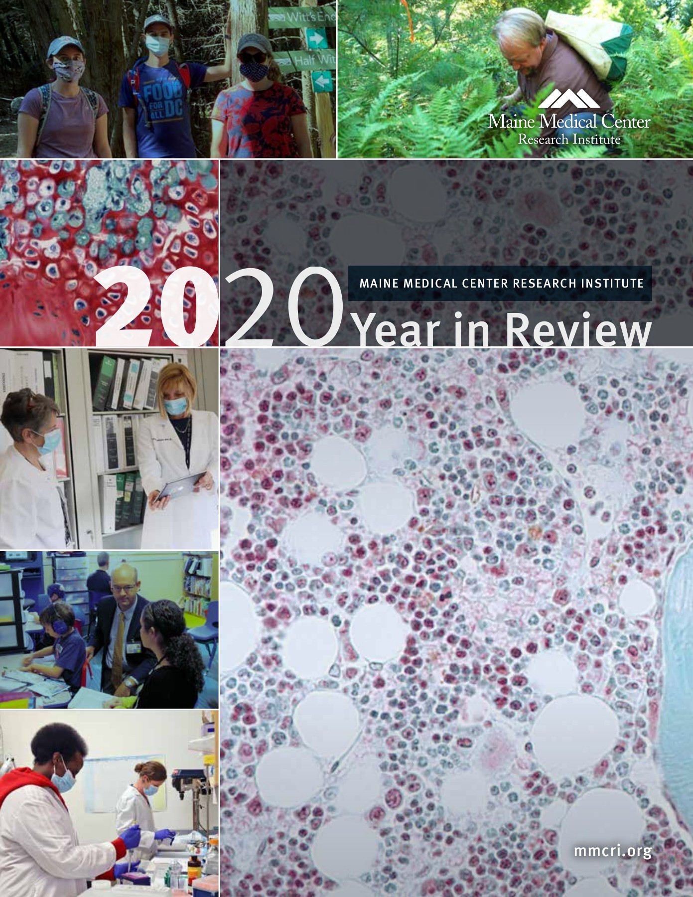 2020 MMCRI-Year in Review-v4-Web - jmyers2 - Page 1 - 32 | Flip PDF ...
