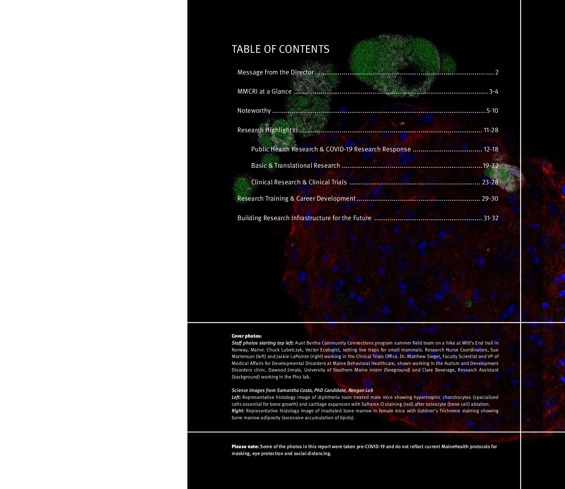2020 MMCRI-Year in Review-v4-Web - jmyers2 - Page 2 | Flip PDF Online ...