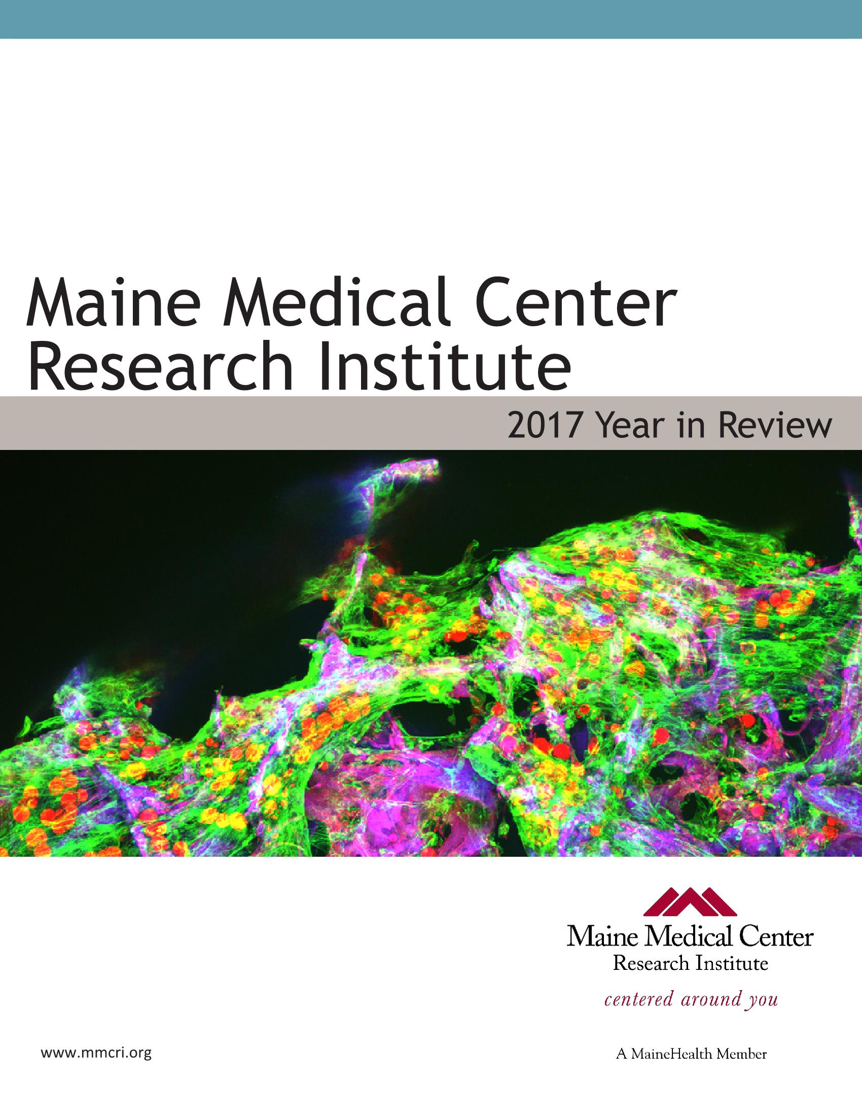 80792-1 MMCRI - Year In Review_Final - jmyers2 - Page 1 - 16 | Flip PDF ...