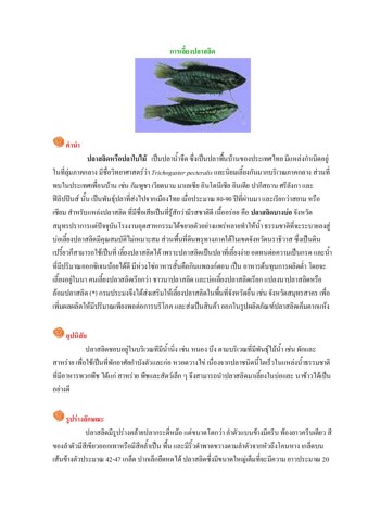 plasalid - นุสราสินี ณ พัทลุง - หน้าหนังสือ 1 - 9 | พลิก PDF ออนไลน์ ...