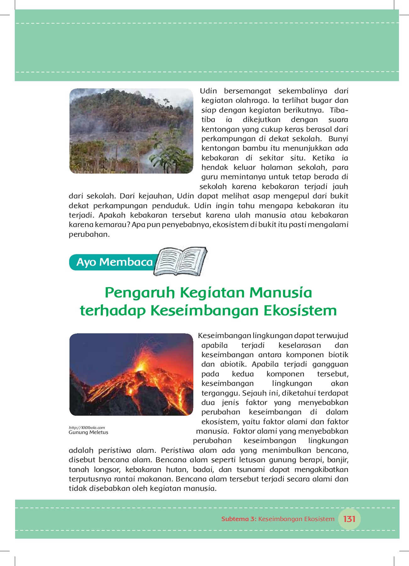 BS 5 Tema 5 - Ekosistem - cikgunoli - Halaman 137 | PDF Online | PubHTML5