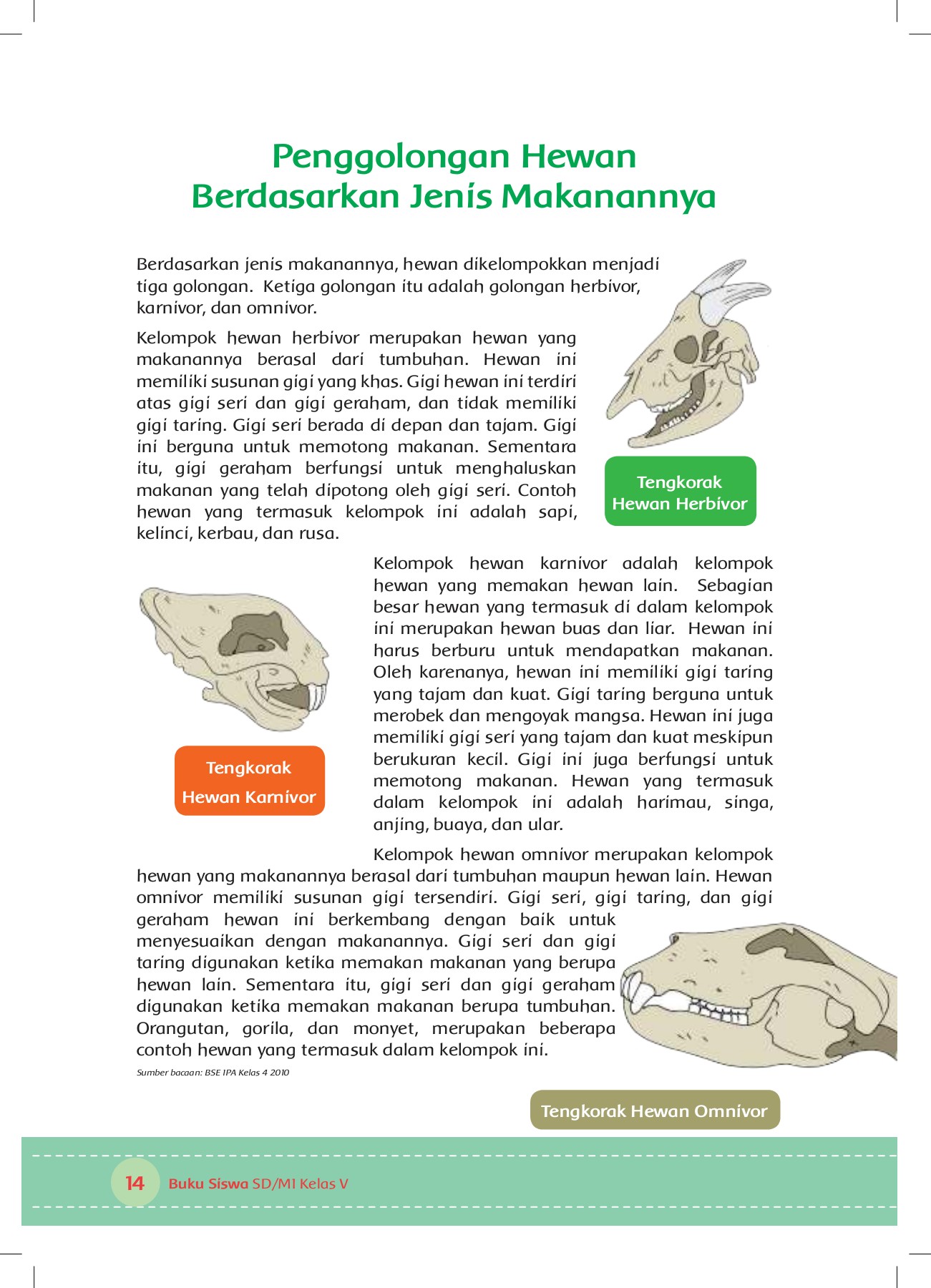 BS 5 Tema 5 - Ekosistem - cikgunoli - Halaman 20 | PDF Online | PubHTML5