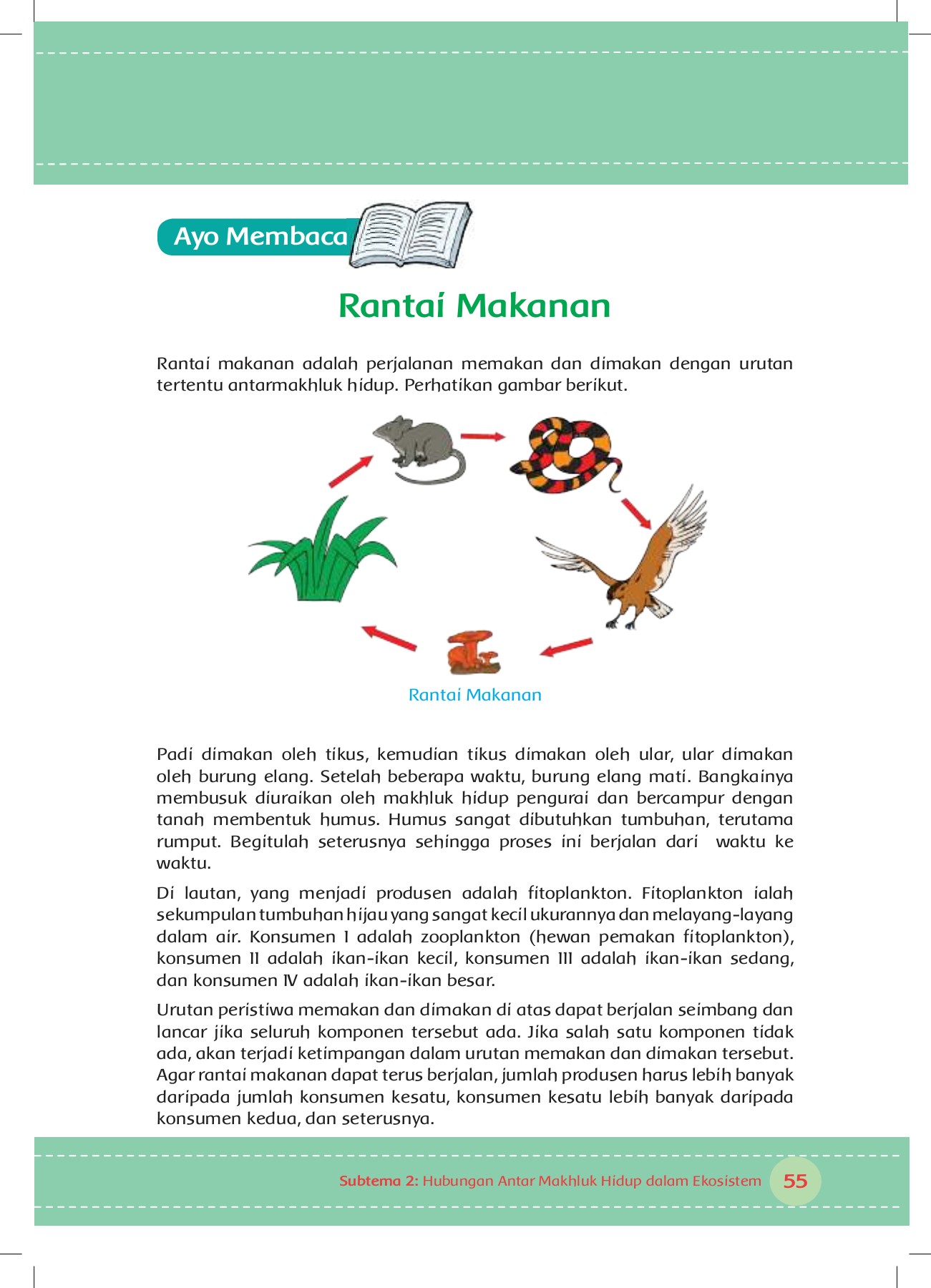 BS 5 Tema 5 - Ekosistem - cikgunoli - Halaman 61 | PDF Online | PubHTML5