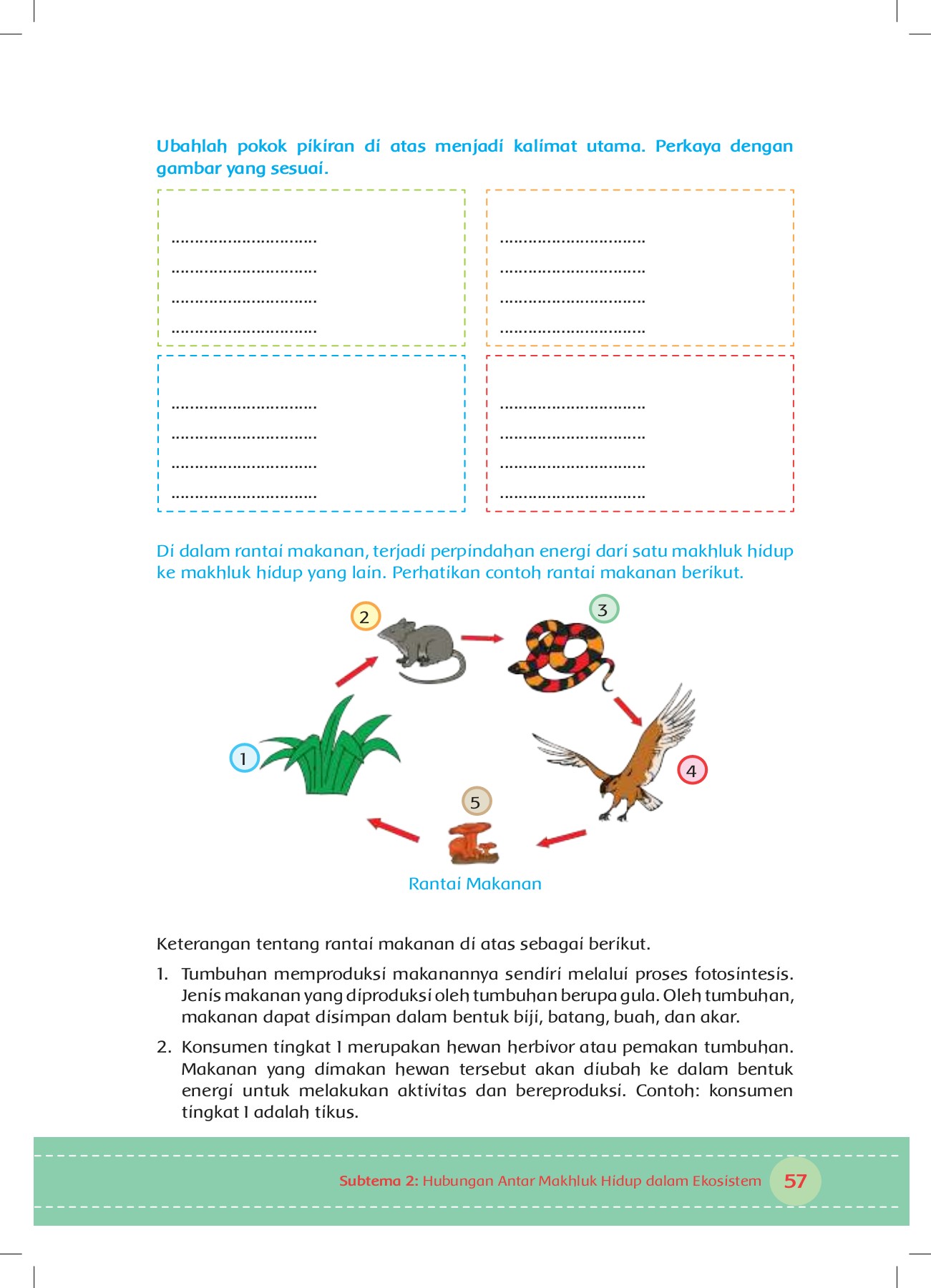 BS 5 Tema 5 - Ekosistem - cikgunoli - Halaman 63 | PDF Online | PubHTML5