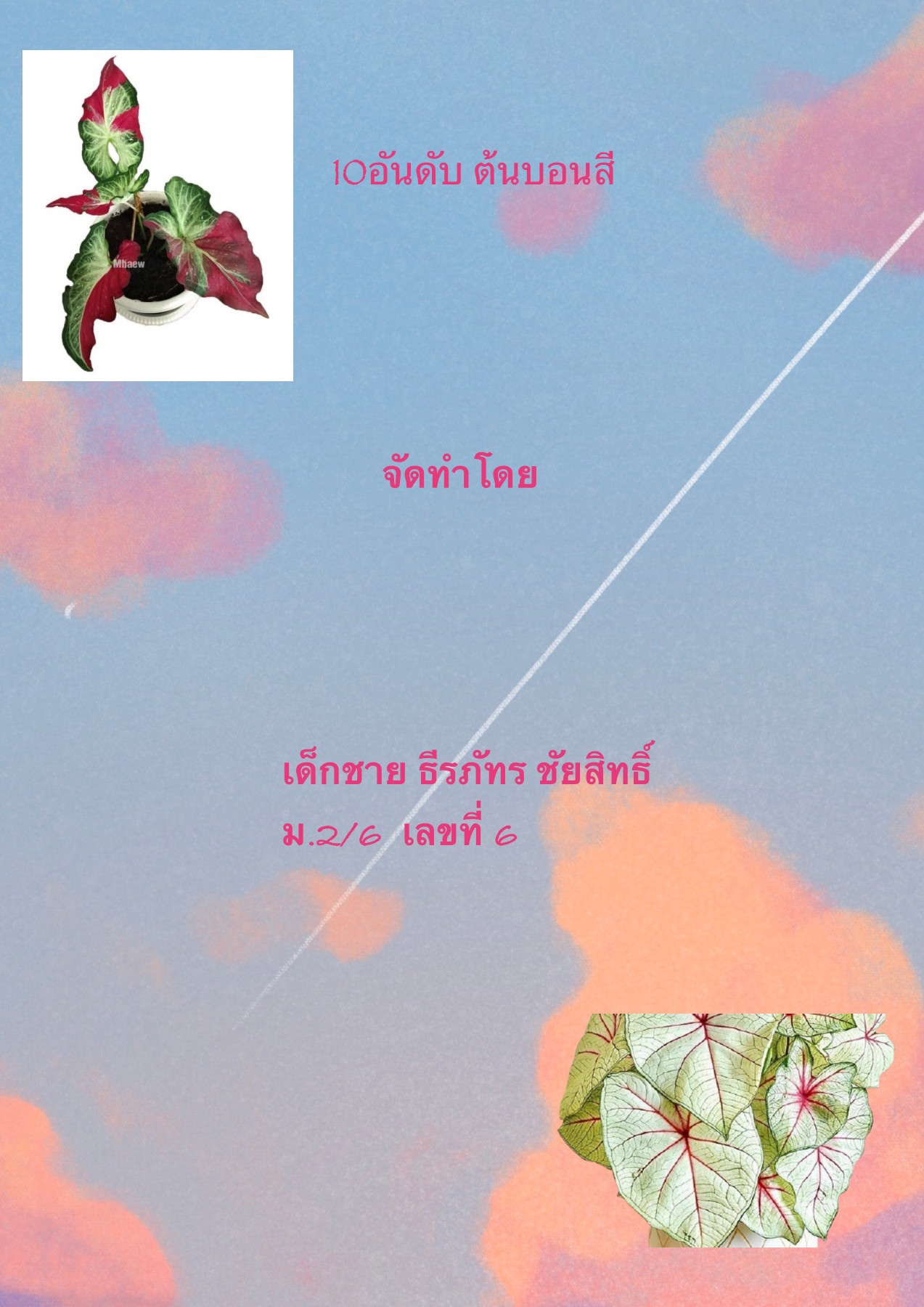 ต้นบอนสี - - Page 1 - 3 | Flip PDF Online | PubHTML5