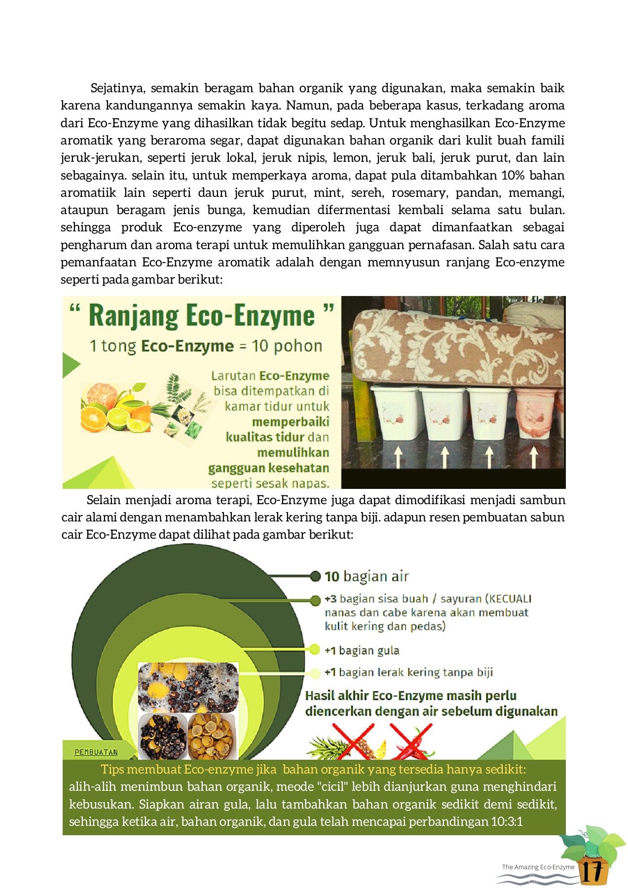 Contoh e-book Eco-Enzyme - anis mugitsah - Halaman 20 | PDF Online ...