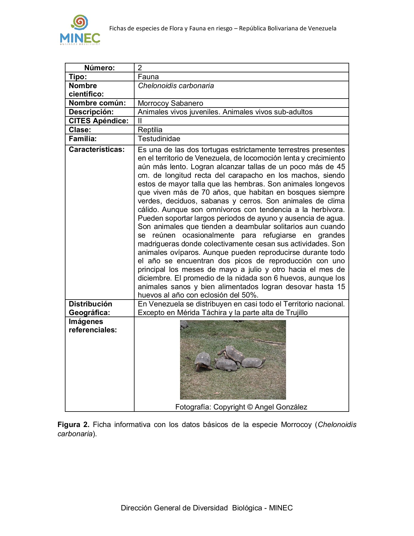 Fichas De Trabajo Sobre La Isla De Los Delfines Azules