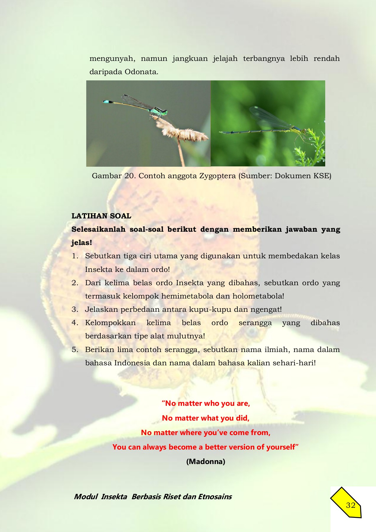 Modul Biologi Insekta Kelas X - Supadmi Padmi - Halaman 41 | PDF Online ...