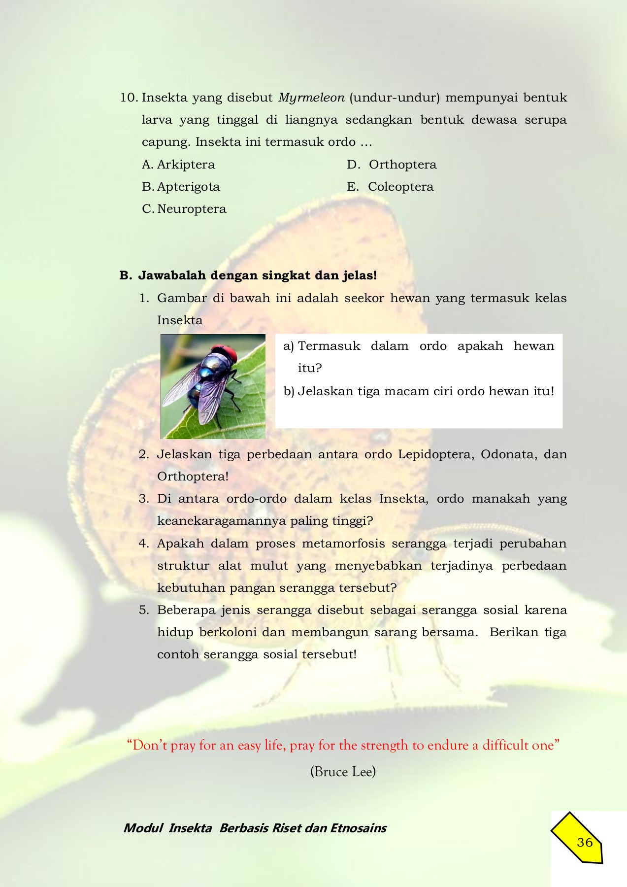 Modul Biologi Insekta Kelas X - Supadmi Padmi - Halaman 45 | PDF Online ...