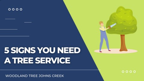 5 Signs You Need a Tree Service