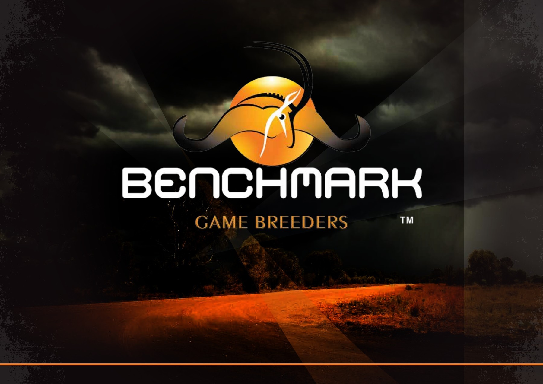 Benchmark Game Breeders - Journal 2017 - web - Page 1 - 36 | Flip PDF ...
