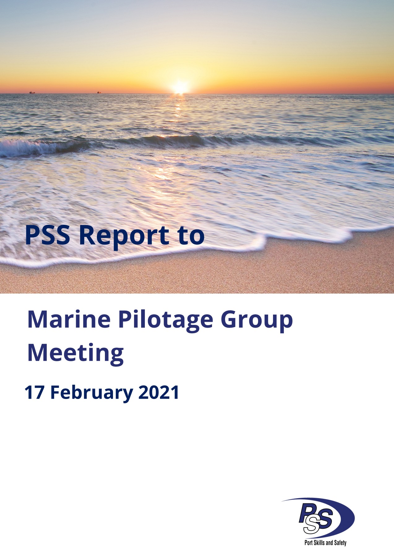 PSS Report to Marine Pilotage Group 17 Feb 2021 - richard.steele - Page ...