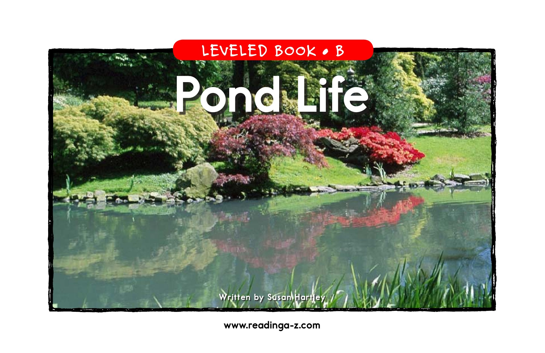 raz_lb15_pondlife - Miss Oanh Class - Page 1 - 12 | Flip PDF Online | PubHTML5