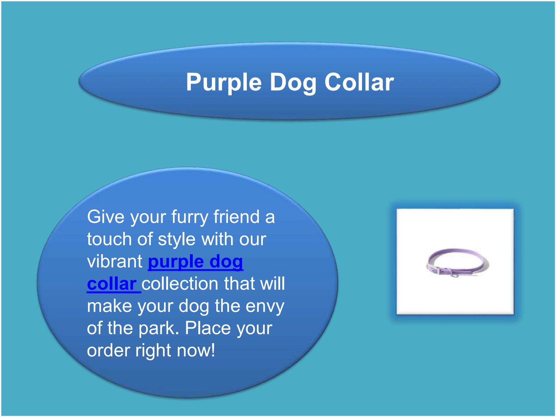Purple Dog Collar - The Furry Nomad - Page 1 - 5 | Flip PDF Online ...