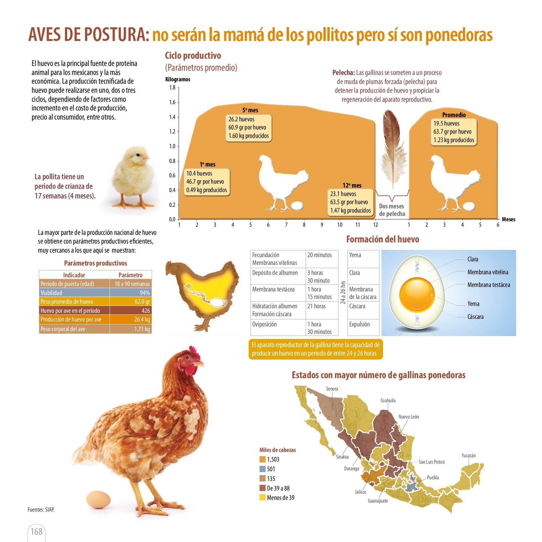 Atlas-Agroalimentario-2018 - ga.siap.web - Página 169 | Flip PDF en línea | PubHTML5