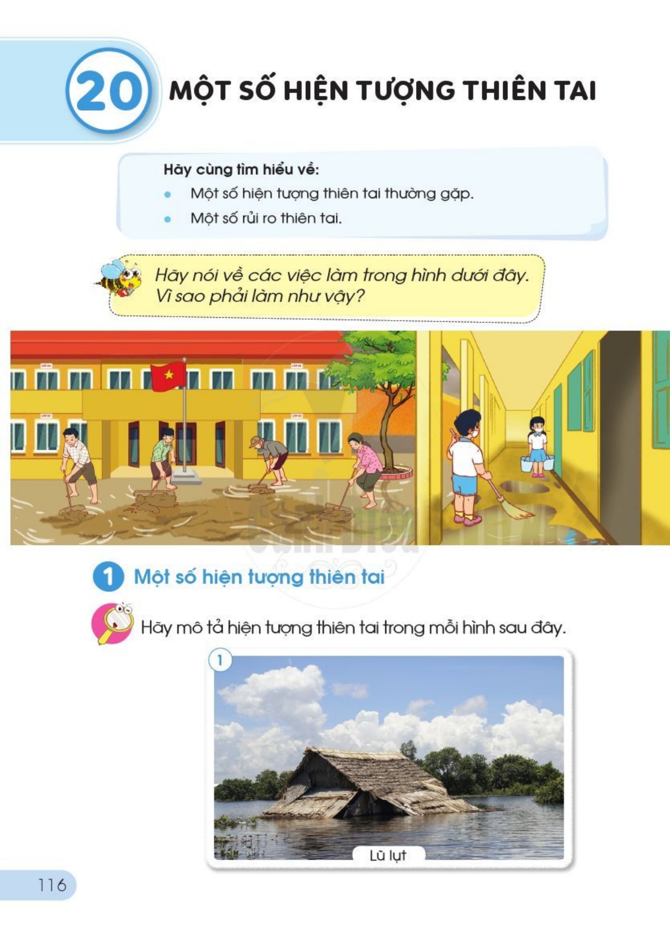 xem-truc-tuyen-va-tai-pdf-sach-tu-nhien-va-xa-hoi-lop-2-canh-dieu - THƯ VIỆN TRƯỜNG TIỂU HỌC ...