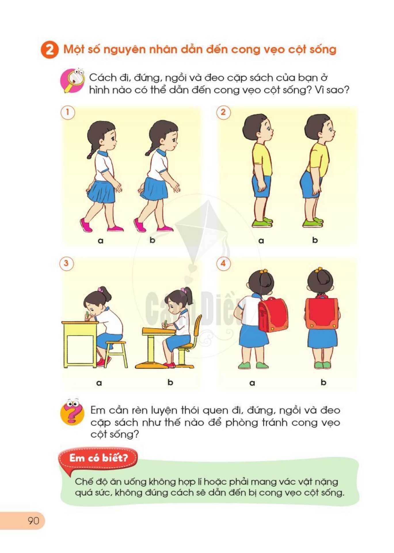 xem-truc-tuyen-va-tai-pdf-sach-tu-nhien-va-xa-hoi-lop-2-canh-dieu - THƯ VIỆN TRƯỜNG TIỂU HỌC ...