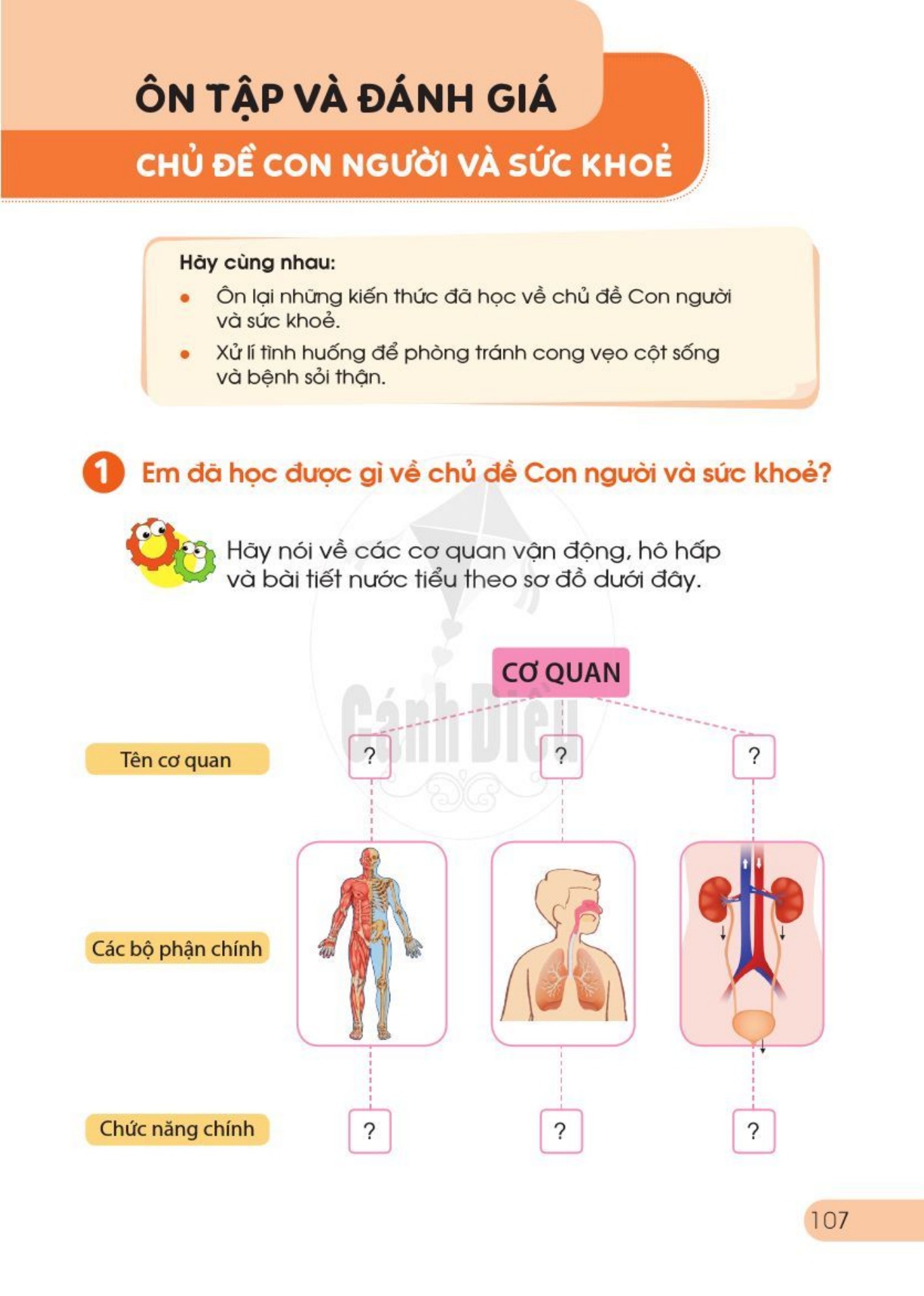 xem-truc-tuyen-va-tai-pdf-sach-tu-nhien-va-xa-hoi-lop-2-canh-dieu - THƯ VIỆN TRƯỜNG TIỂU HỌC ...