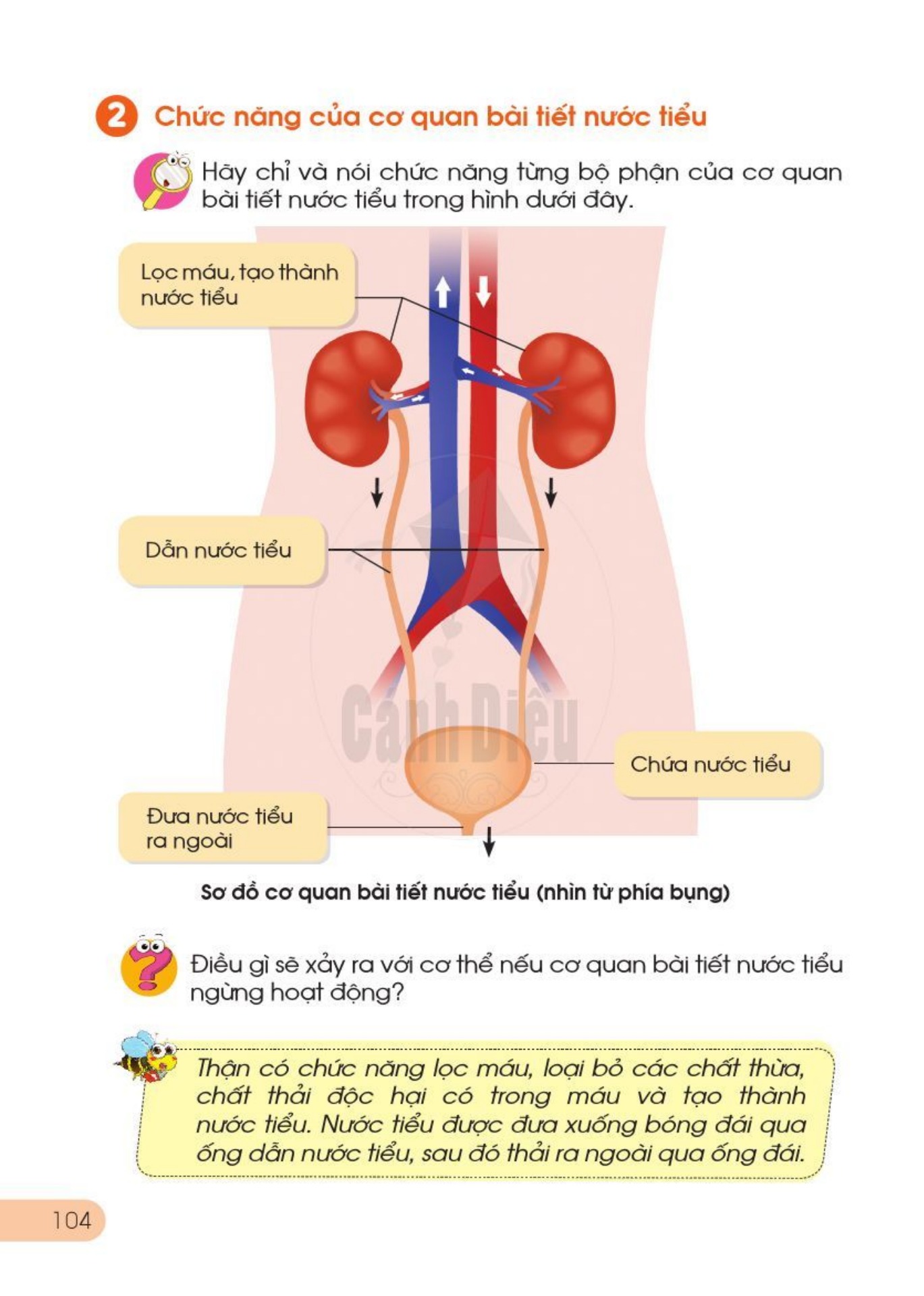 xem-truc-tuyen-va-tai-pdf-sach-tu-nhien-va-xa-hoi-lop-2-canh-dieu - THƯ VIỆN TRƯỜNG TIỂU HỌC ...