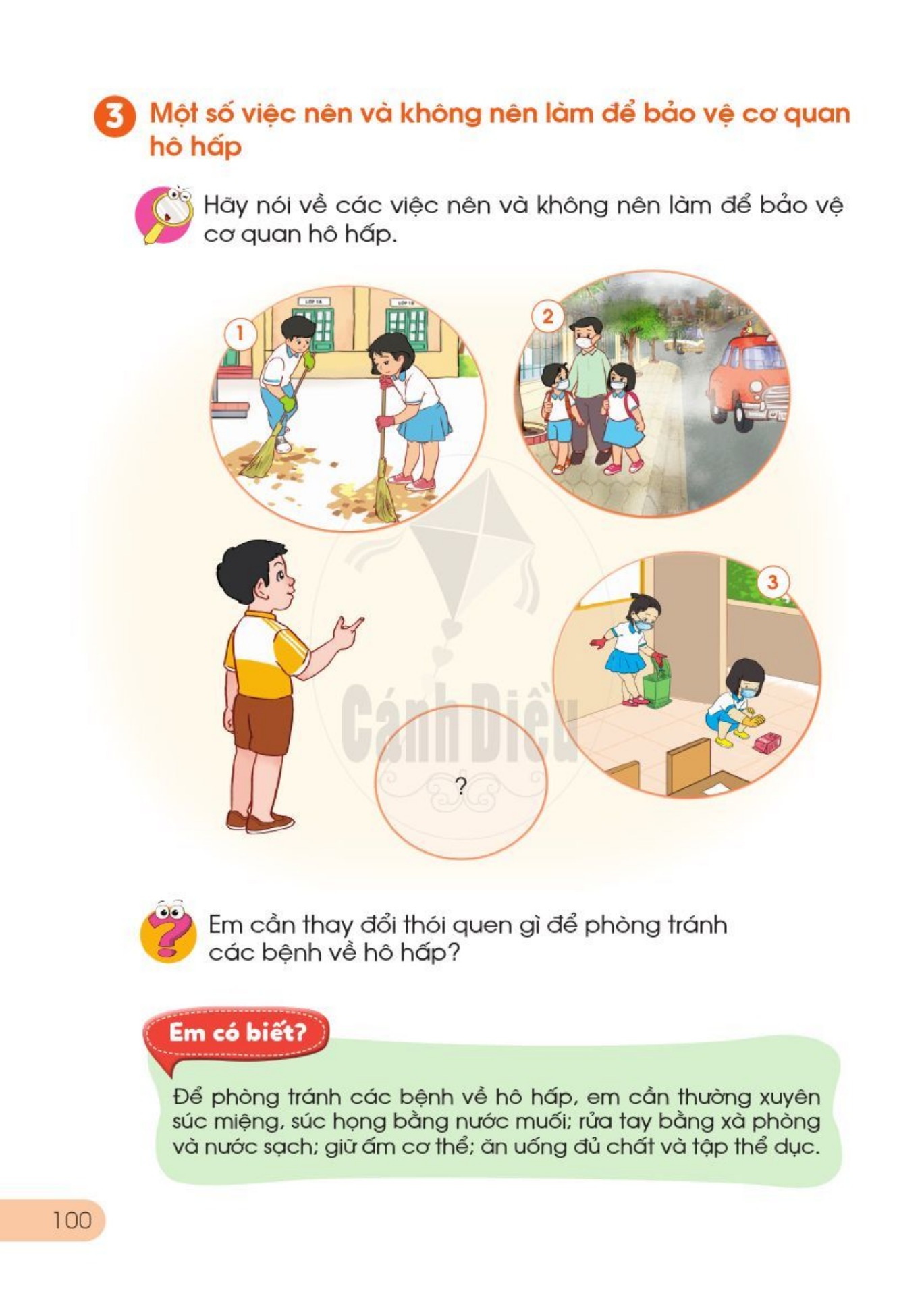 xem-truc-tuyen-va-tai-pdf-sach-tu-nhien-va-xa-hoi-lop-2-canh-dieu - THƯ VIỆN TRƯỜNG TIỂU HỌC ...