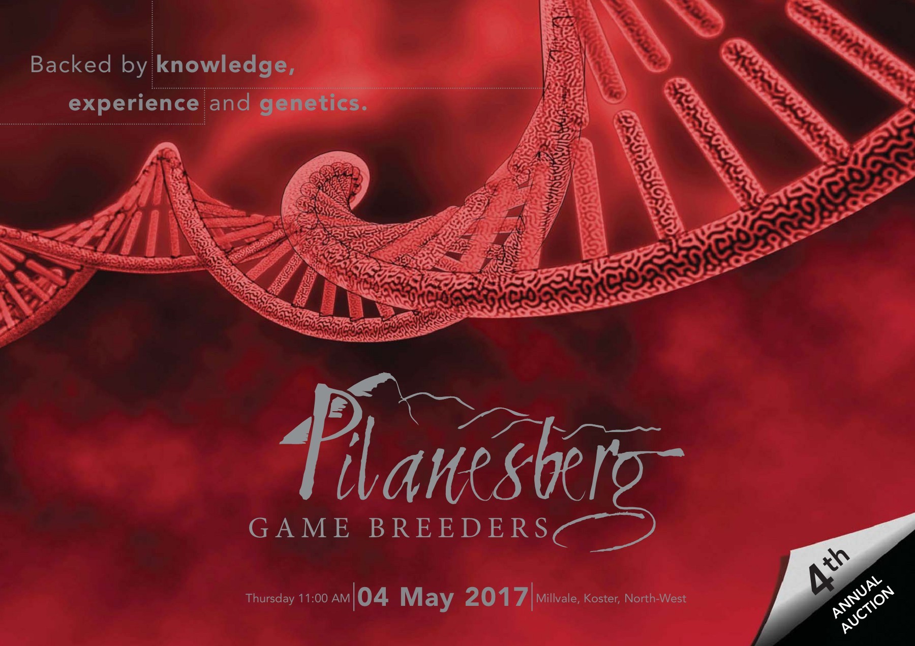 2017 PGB CATALOGUE - bradley.rourke - Page 1 - 124 | Flip PDF Online ...