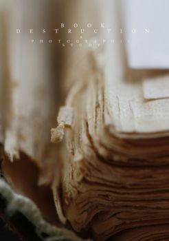 book destruction - charlotte.dunne1991 - Page 1 - 22 | Flip PDF Online ...