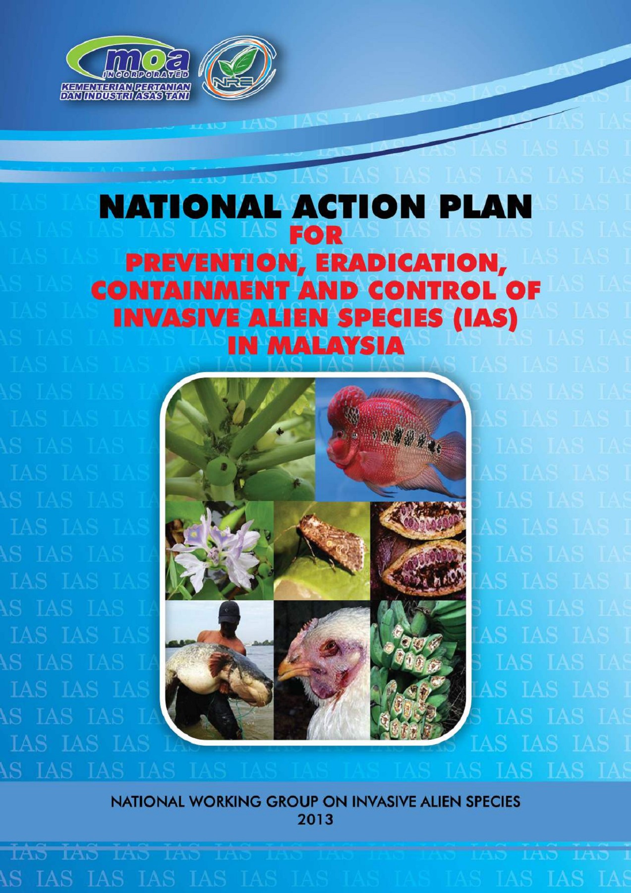 national action plan - zack199908 - Page 1 - 46 | Flip PDF Online ...