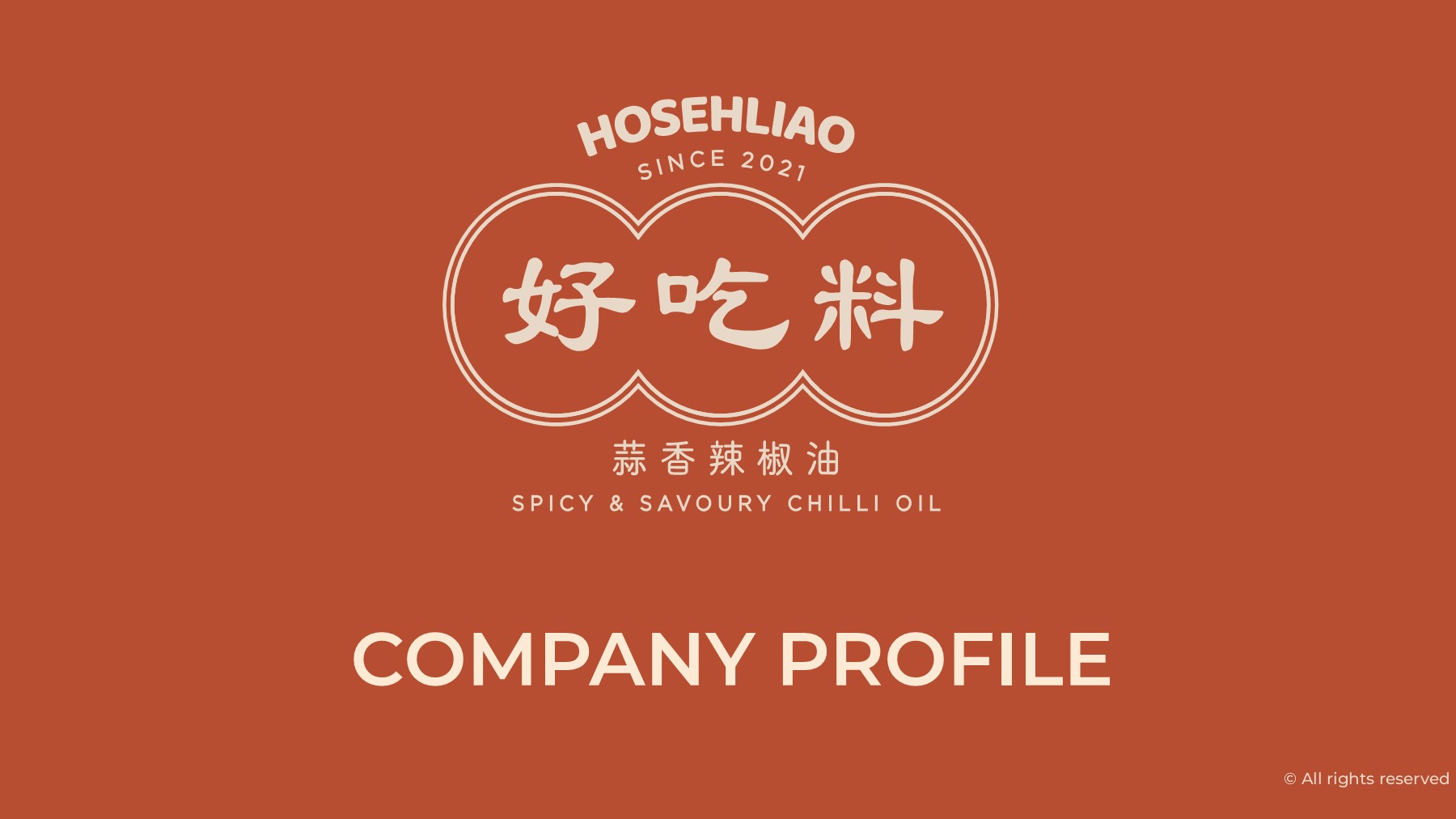 [HSL] Company Profile (1) - - Page 1 - 12 | Flip PDF Online | PubHTML5