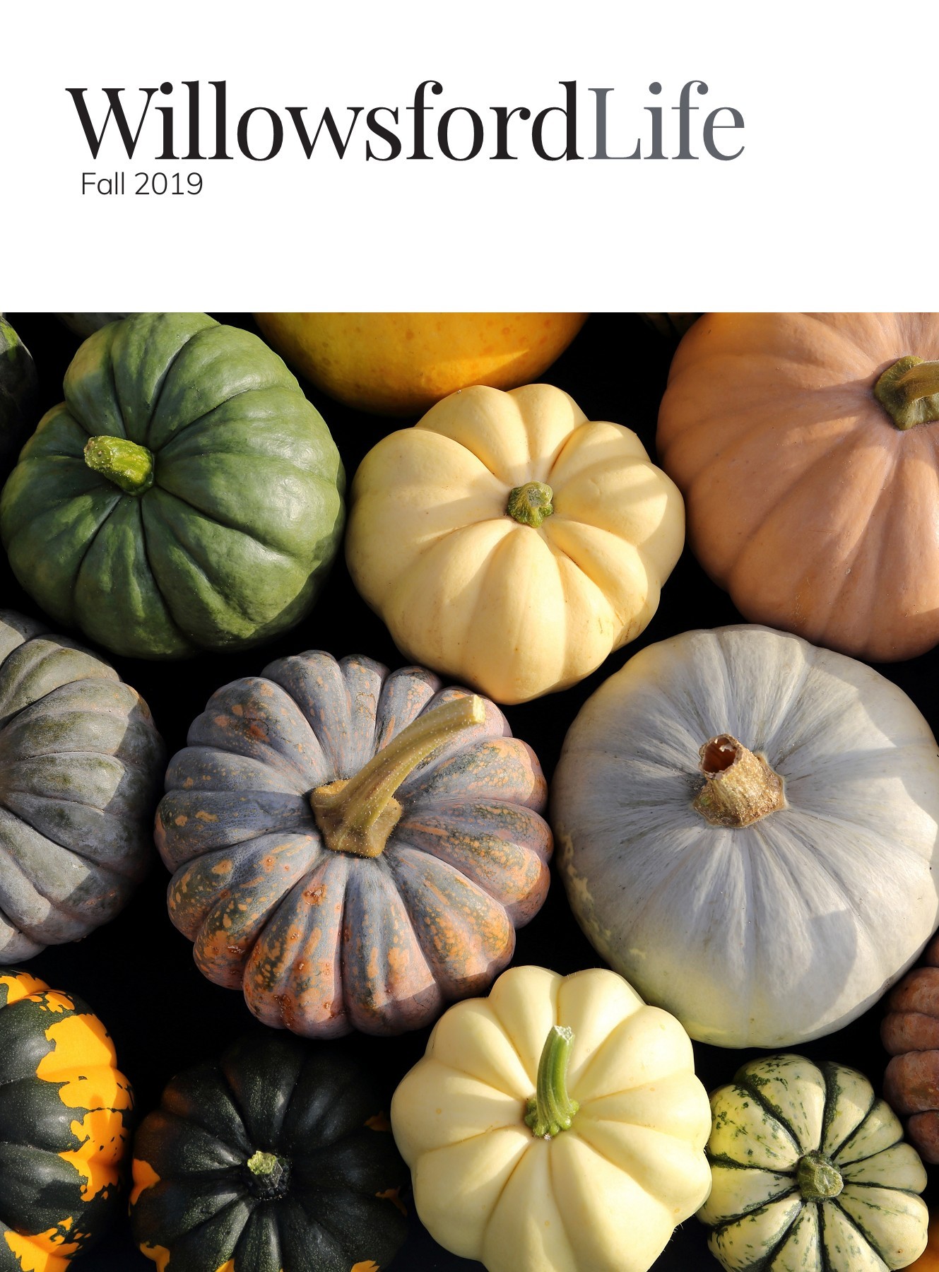 Willowsford Fall Magazine - agl_design - Page 1 - 40 | Flip PDF Online ...