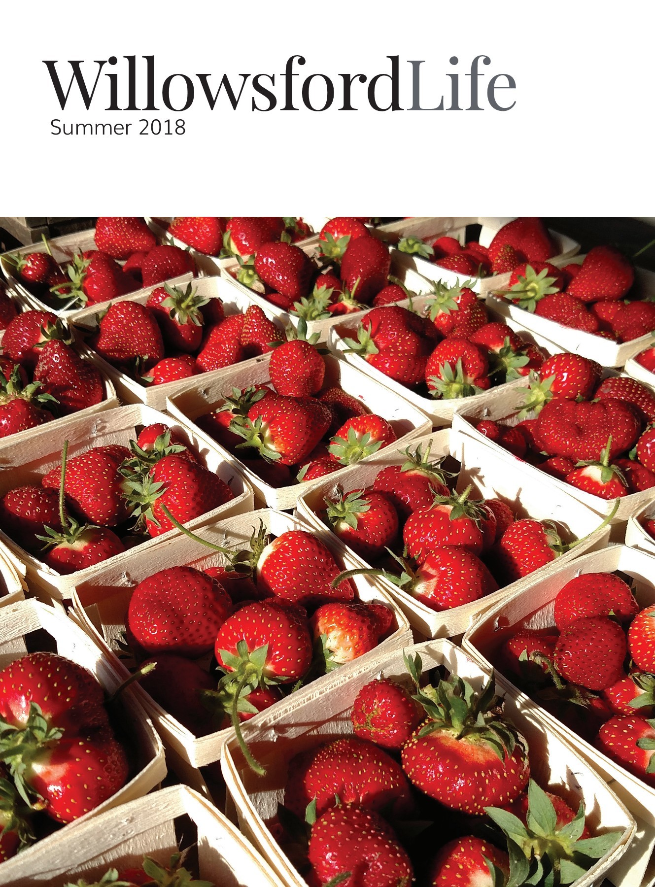 Willowsford Summer 2018 - agl_design - Page 1 - 36 | Flip PDF Online ...